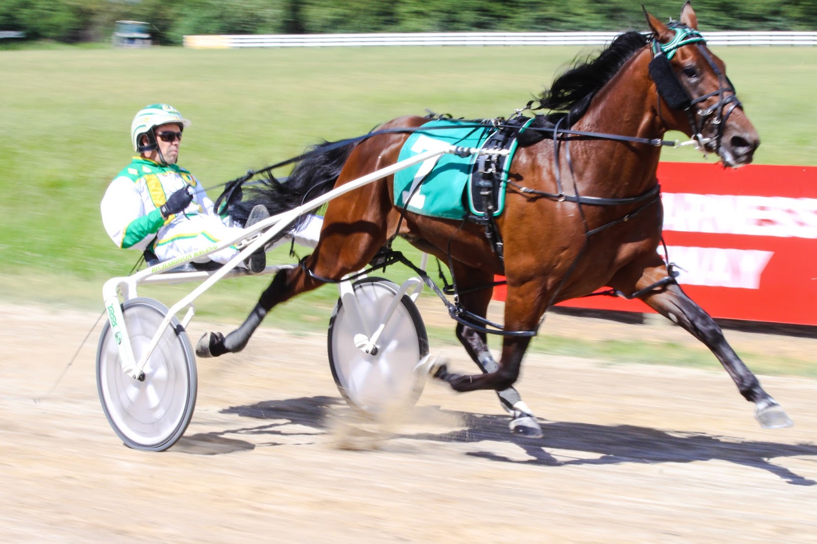 Harness Racing in the UK: Hoof Beats magazine photo competition