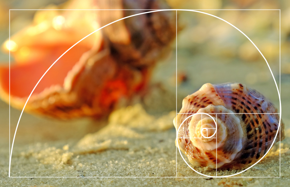 Which Is Why You Wish To Calculate The golden Ratio Of A Subscription which-is-why-you-wish-to-calculate-the-golden-ratio-of-a-subscription