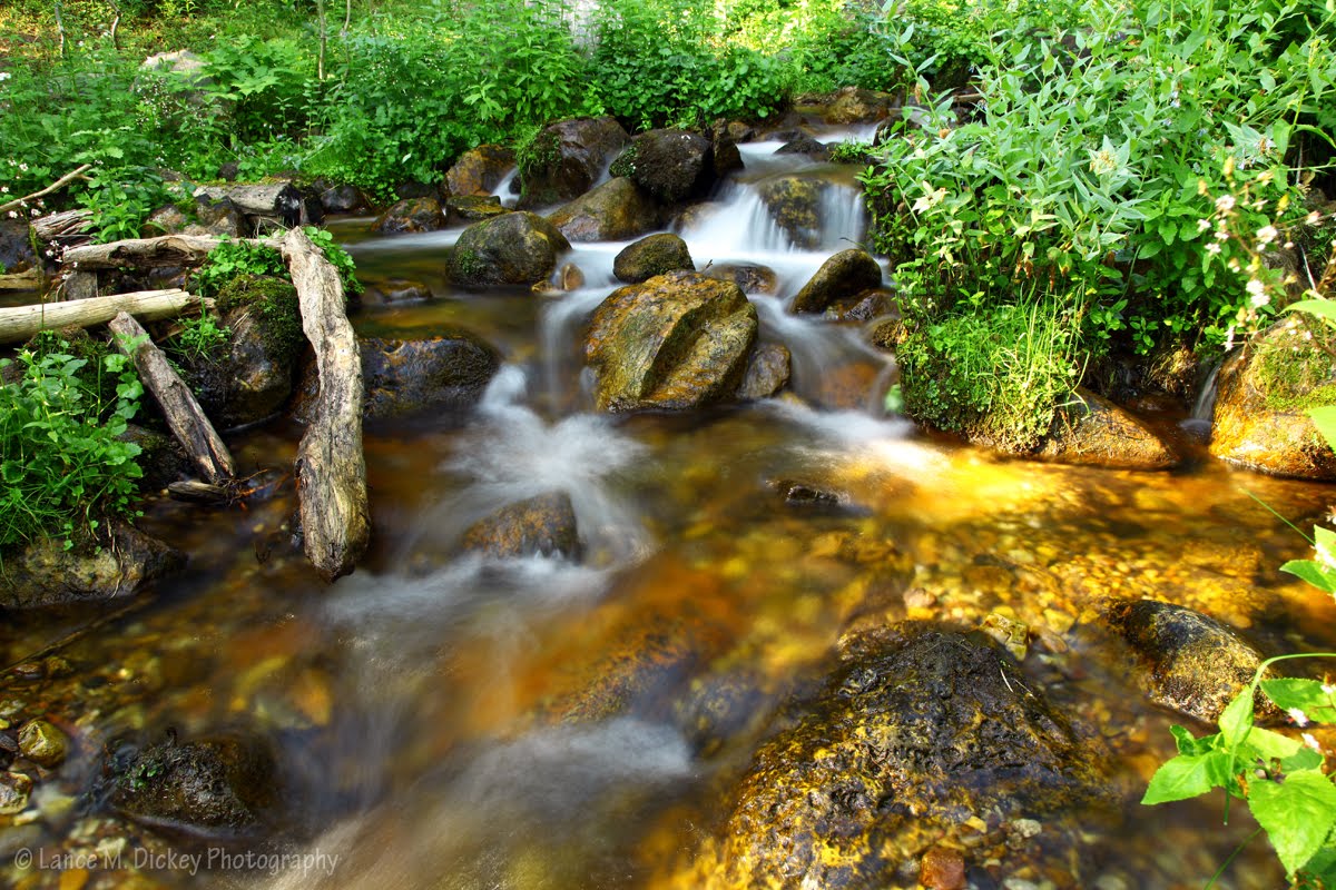 Lance M. Dickey Photography: Tony Grove