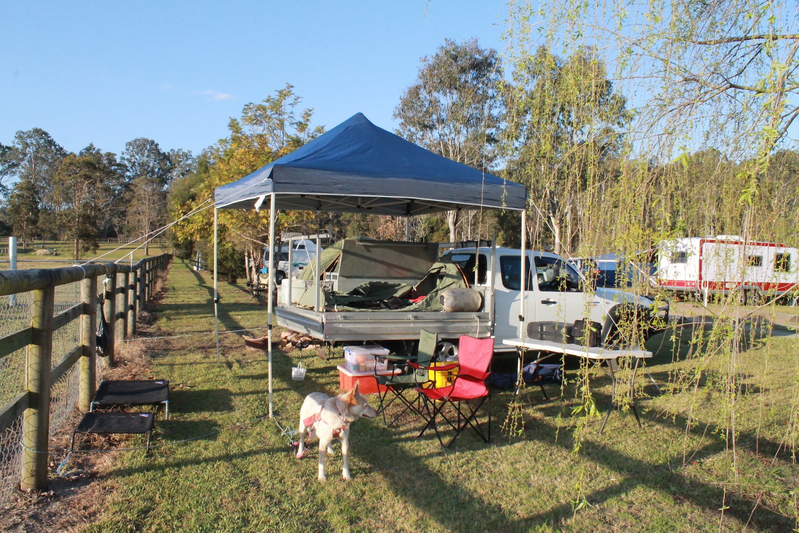 Special Moments: Canungra Camping