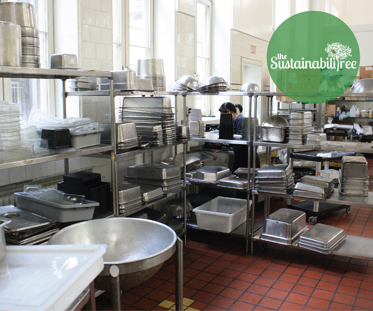 Dining Hall Waste: A Back of House Tour - The Sustainabilitree
