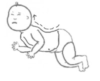 Plan for Learning & Living- Sensory-Motor-Reflex