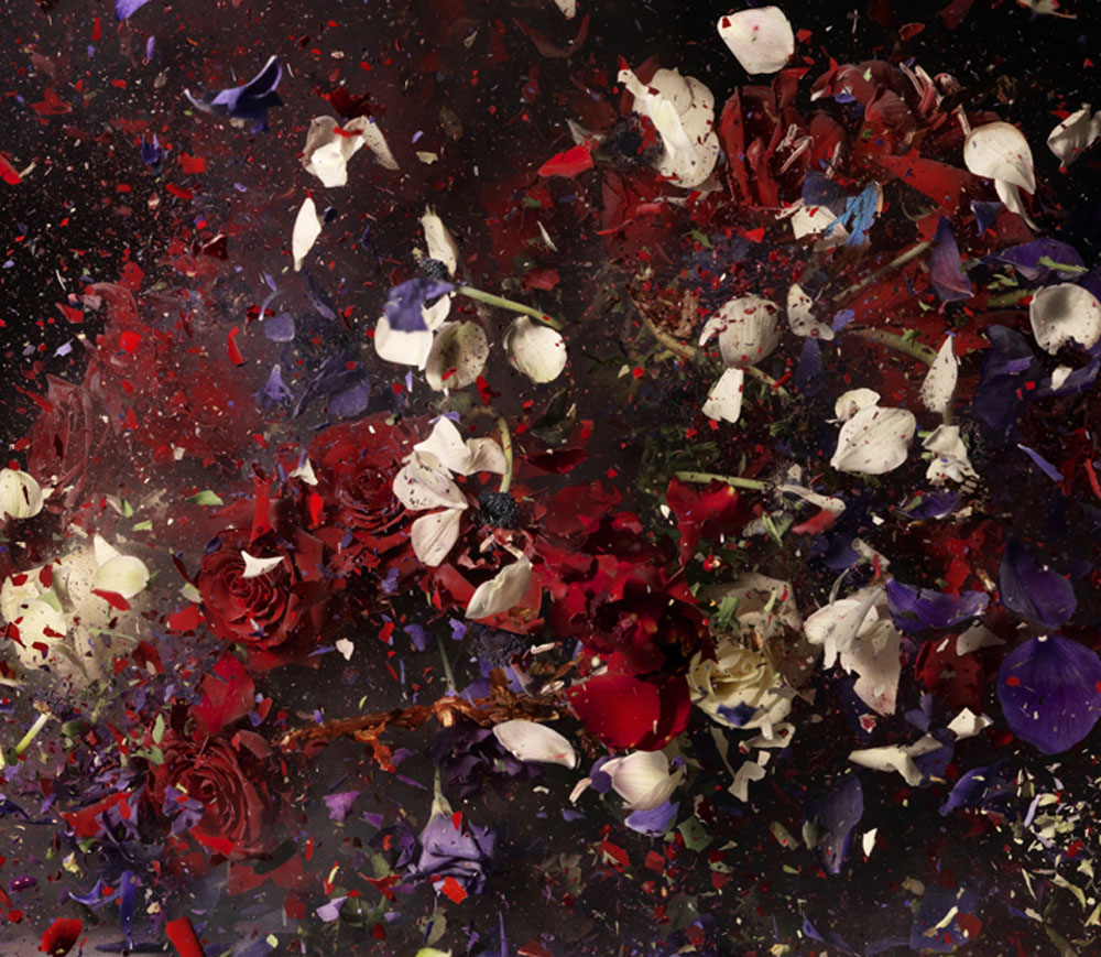 Willow Rose: Ori Gersht's Exploding Flowers
