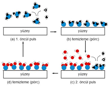 Prof. Dr. Bilsen Beşergil: Atomik Tabaka Depozisyon (atomic layer ...