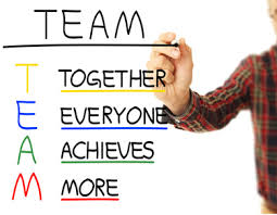 Brilliant Leader: Team Synergy