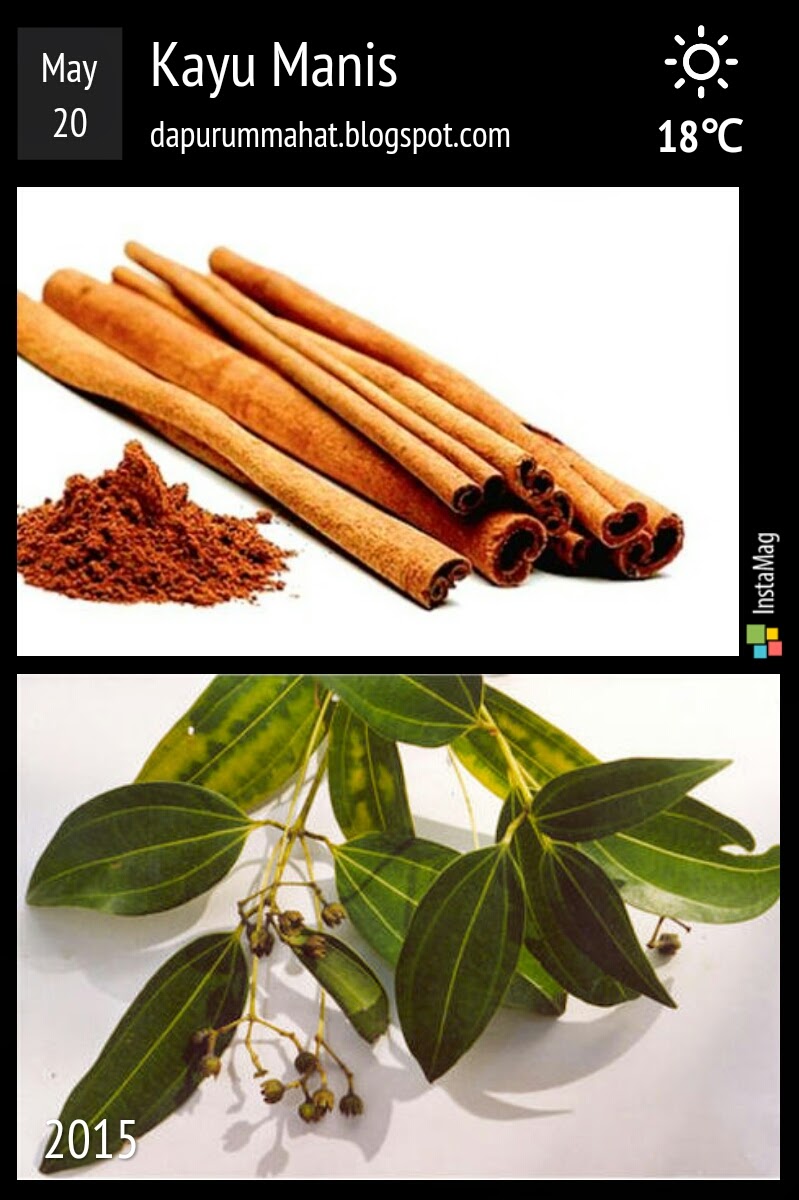 DaPuR UmMaHaT: MENGENAL BUMBU DAPUR (KAYU MANIS)