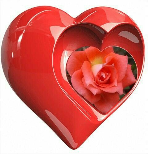 DLA KAŻDEGO: SERDUSZKO