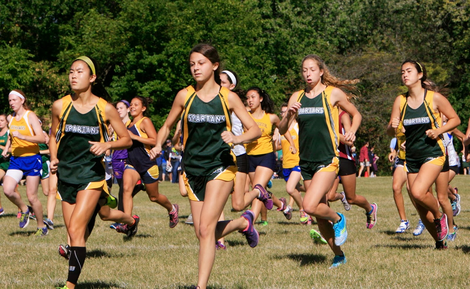 Mark Kodiak Ukena: IHSA 45th Annual Warren Varsity Cross Country ...
