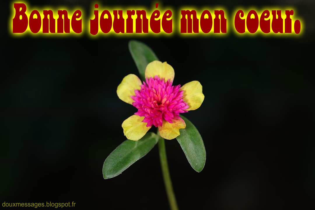 MESSAGE MIGNON POUR DIRE BONJOUR - MESSAGES DOUX