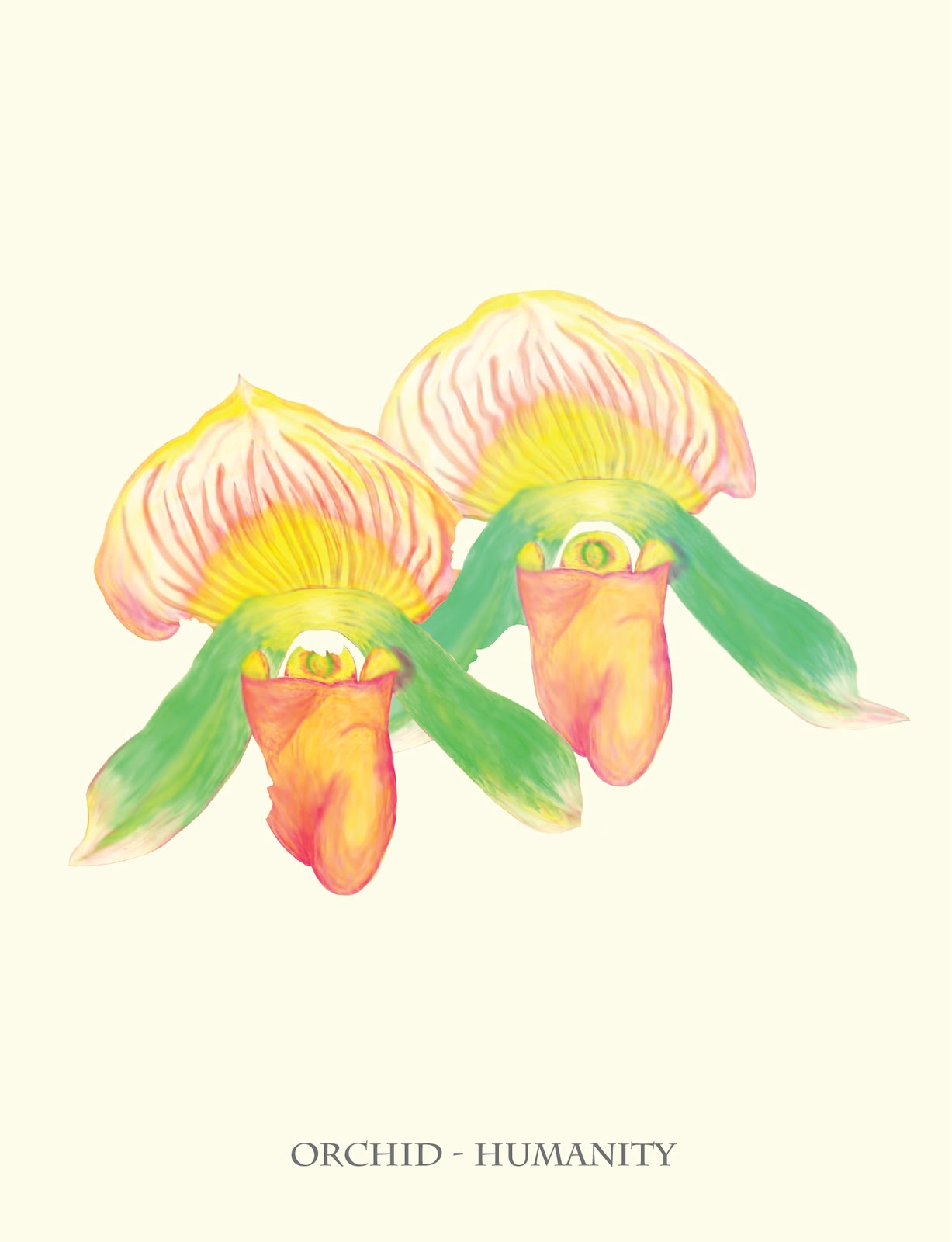 Julia Canright: Language of Flowers - Orchid