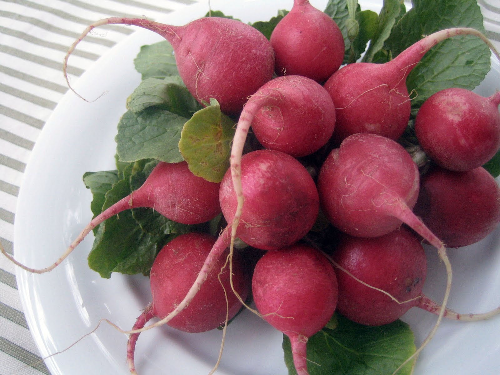 Blue Kale Road: Meyer Lemon, Radish, Cucumber and Tomato Salad with ...