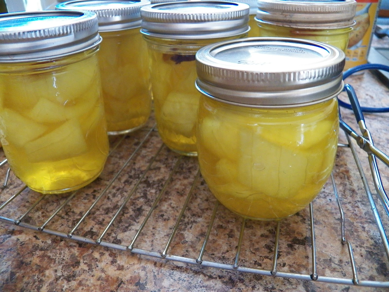 Asier (Danish Pickles) - Sid's Sea Palm Cooking