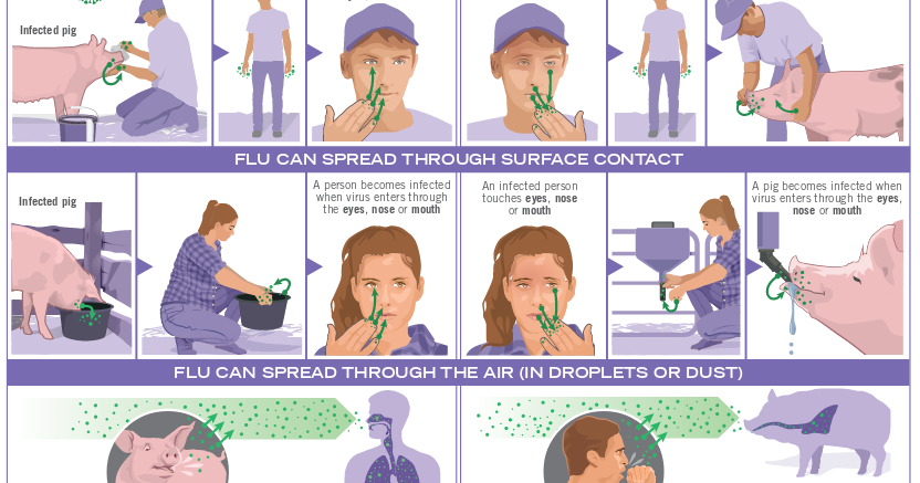 Avian Flu Diary: CDC: Guidance for Human Infections with Swine Flu Viruses