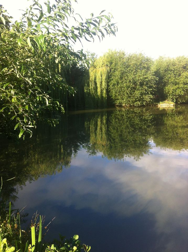 UK fishing venues: Raker Lakes (Highbank Lake) - Venue Review