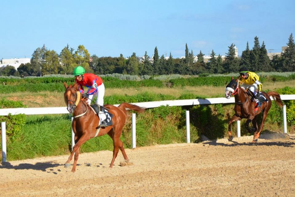 Courses et Elevage en Tunisie : Hippodrome de Kassar Said Résultats ...
