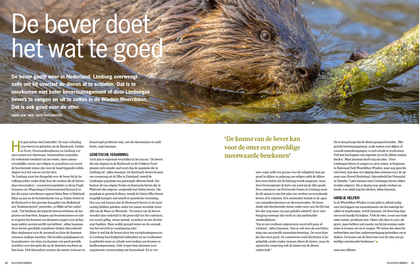 Castor Fiber: Bevers naar ottergebied? Liever andersom!