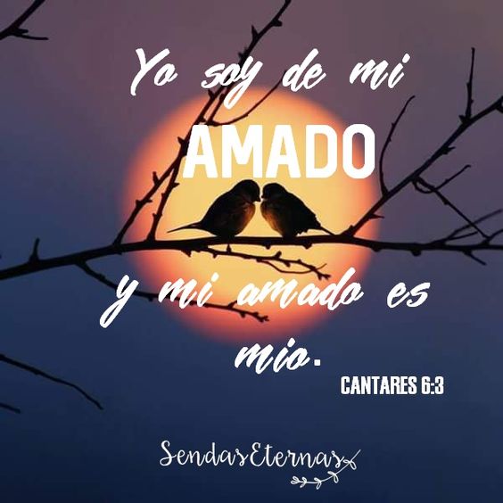 La Hermosura De Cristo