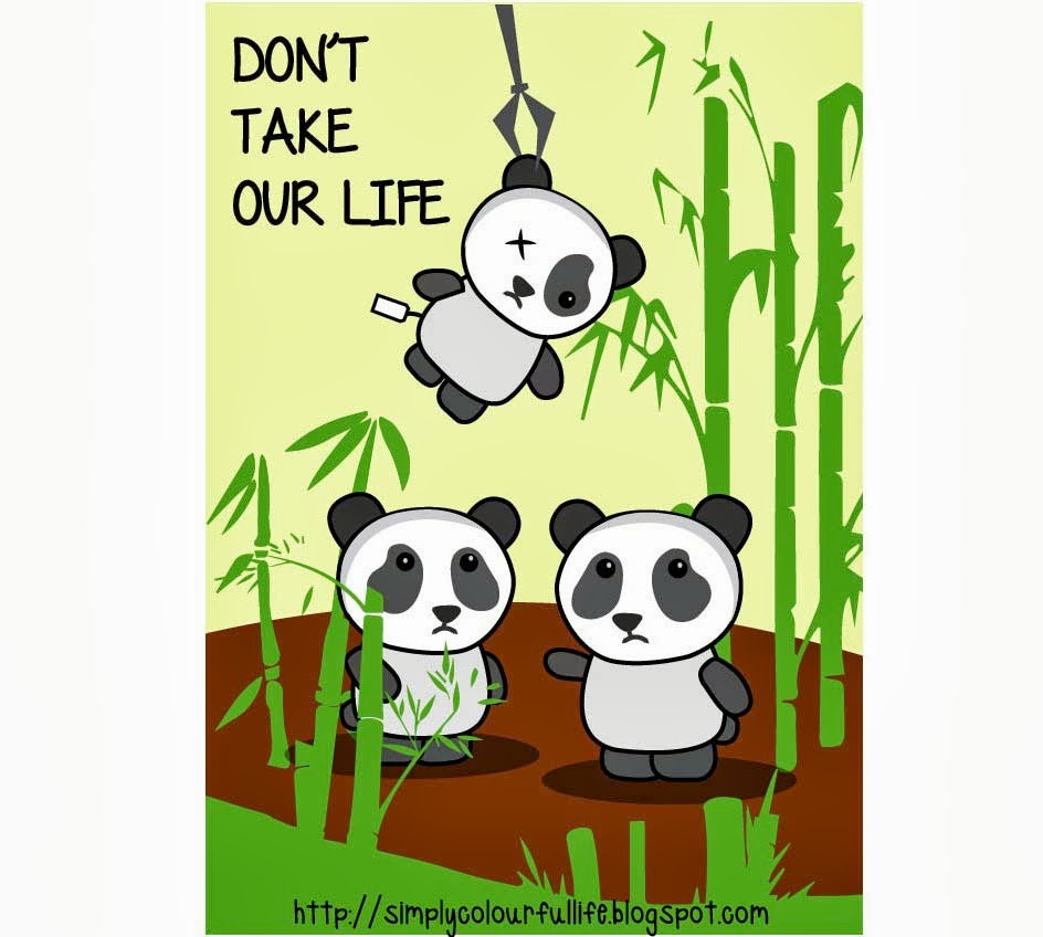 Cute Panda Posters | Affiche Img