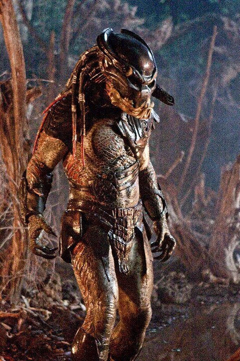 Dog Food For Chairs: Predators Post