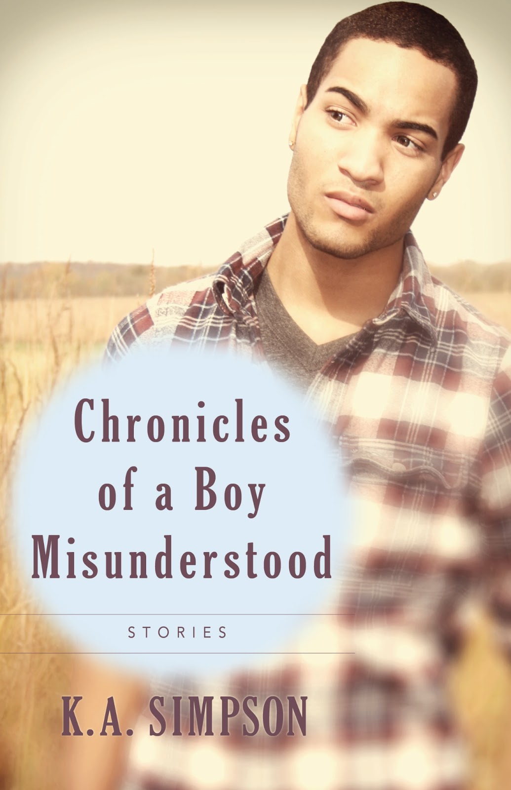 Chronicles of a Boy Misunderstood