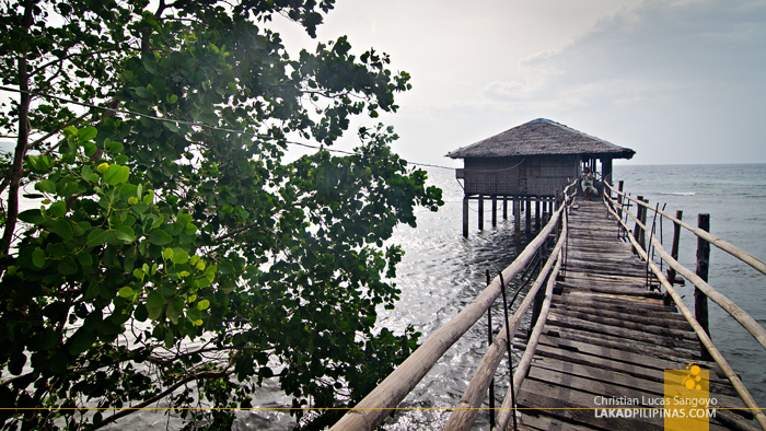 SIQUIJOR | Guiwanon Spring Park ~ Amongst the Mangroves - Lakad Pilipinas