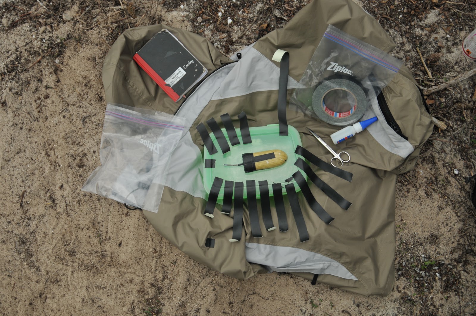 Robben Island Penguin Tracks: Methods