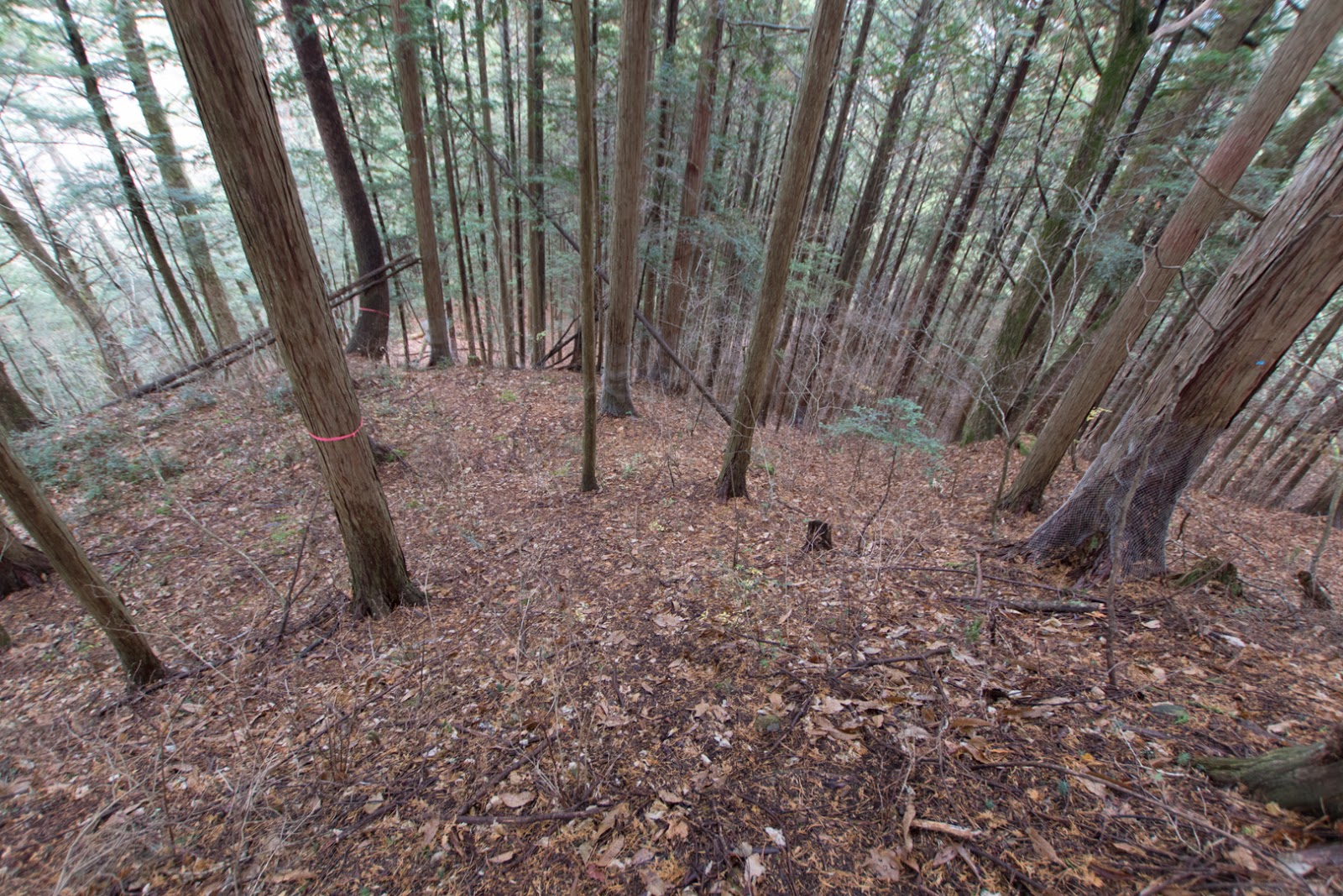 Fukushima Castle (Kiso) -Sacrifice for Survival- | Ken's Storage ...