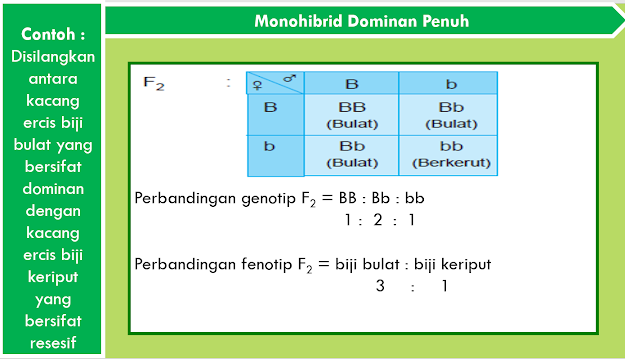 HUKUM MENDEL I ( Pengertian, Contoh dan Istilah dalam Persilangan )