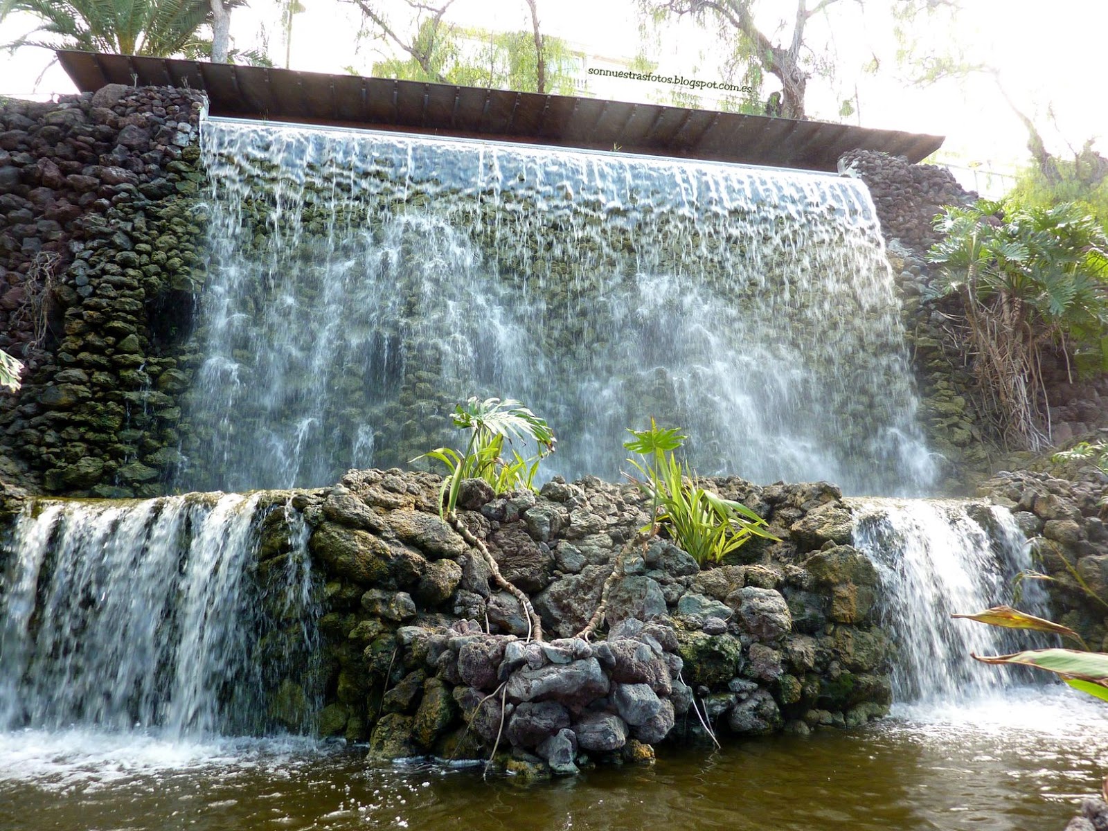 NUESTRAS FOTOS: PARQUE TAORO I