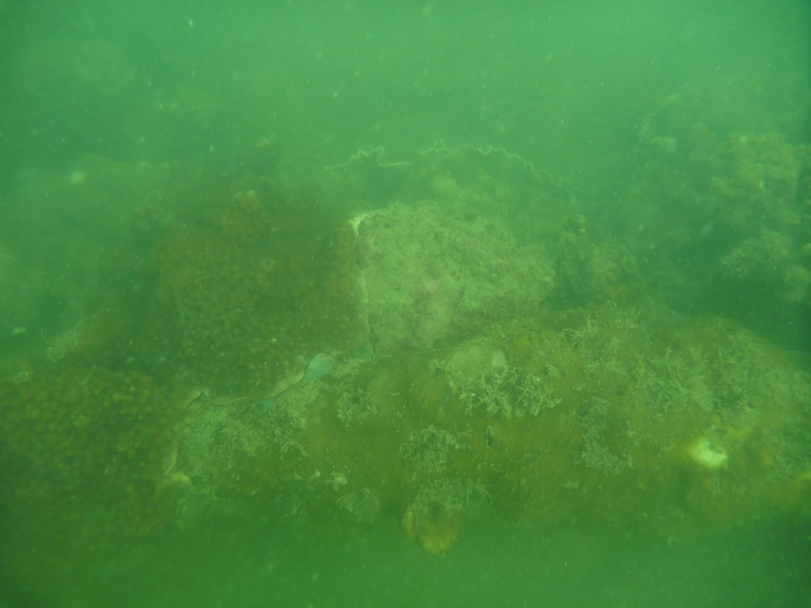 Down Unda: SS Moltke Ship Wreck, Magnetic Island