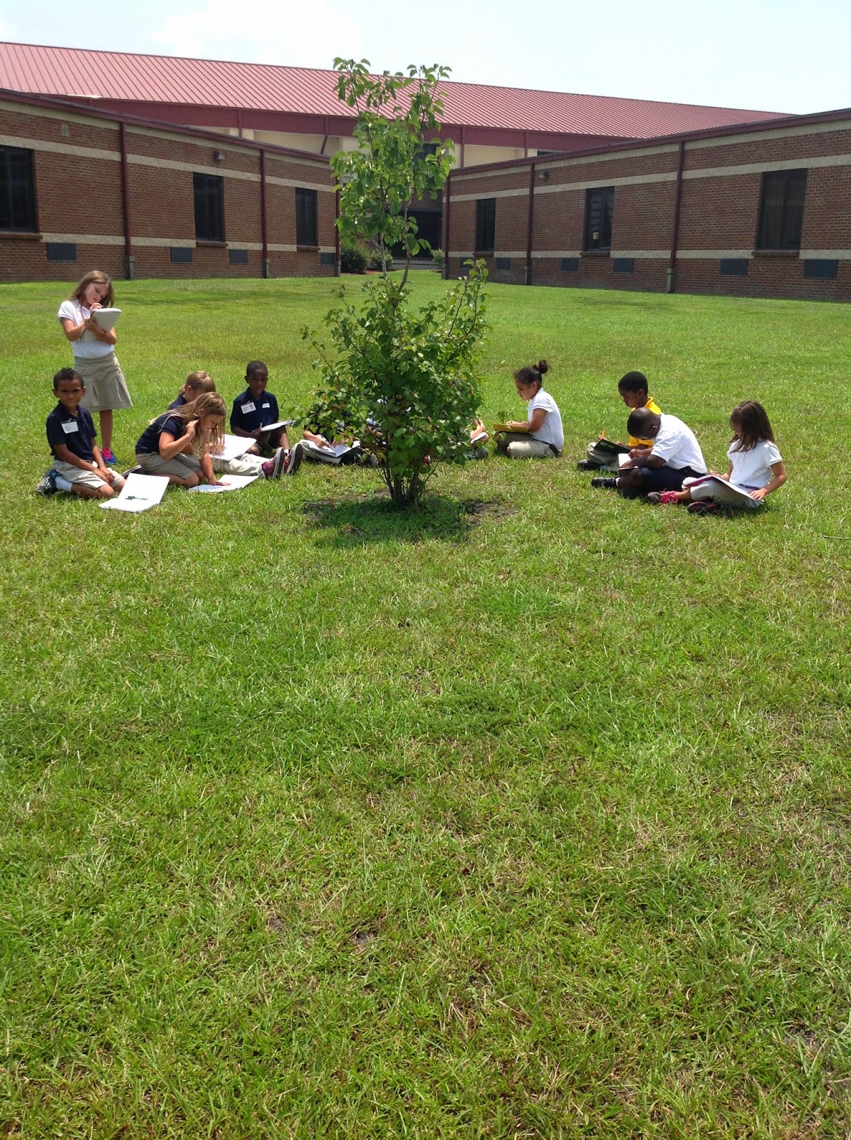 Mrs. Cook's 2nd Grade Blog: Observing the Seasons - Our Class Tree