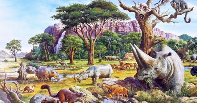 Ciencias de Joseleg: El Paleógeno