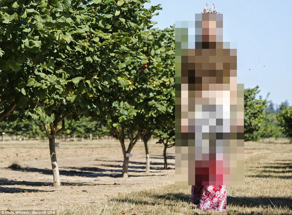 Ohsenyum.com: Ohsenyum : (6 Gambar& Video) Ratu Lebah