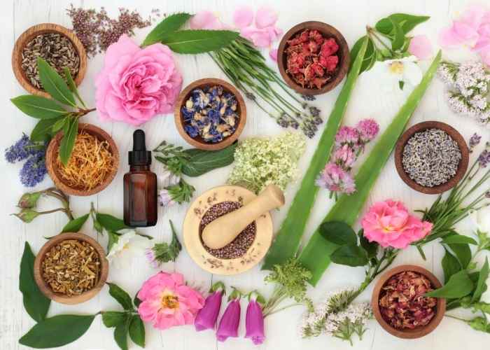 Homemade Hot Oil Treatment For Hair Everything Pretty