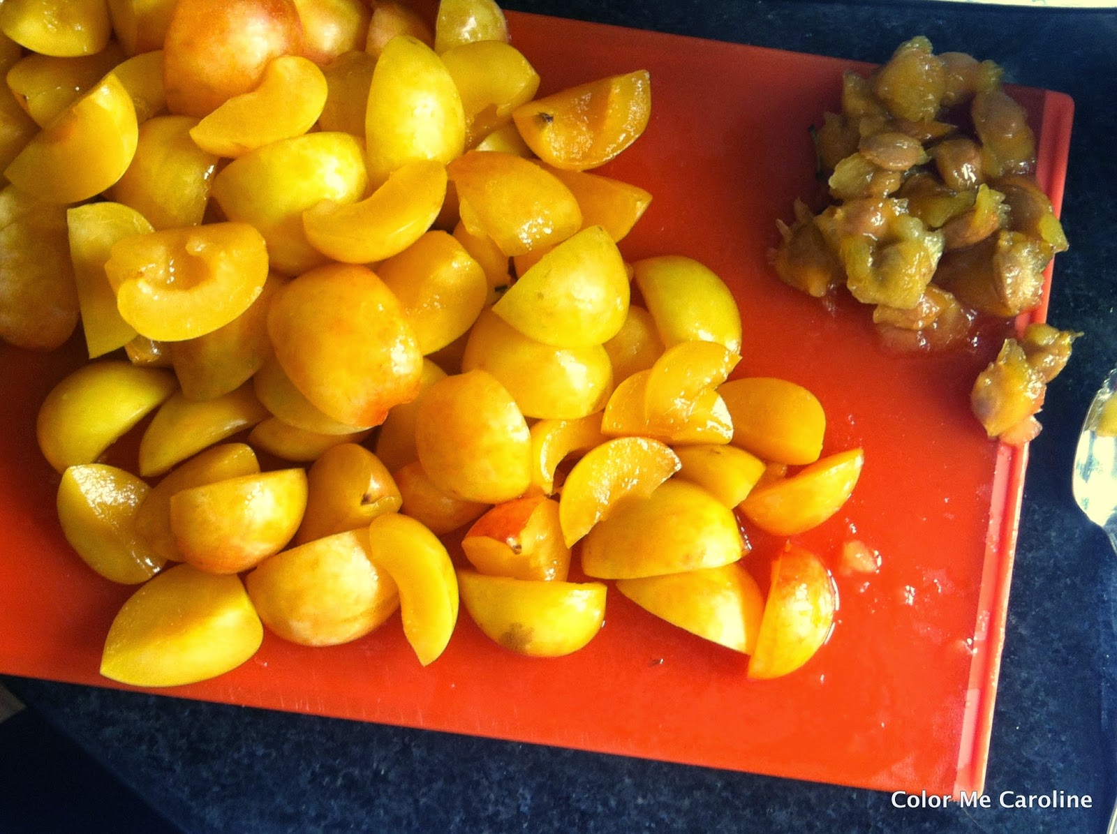 Color Me Caroline: Buttermilk (Mirabelle) Plum Quick Bread