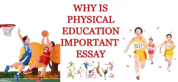 Why Is Physical Education Important Essay why-is-physical-education-important-essay