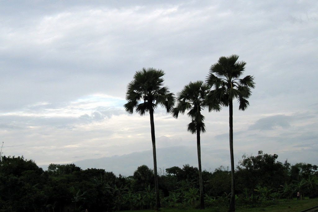 EXPLORE THE WORLD: Brahmanbaria, Bangladesh; Image Gallery