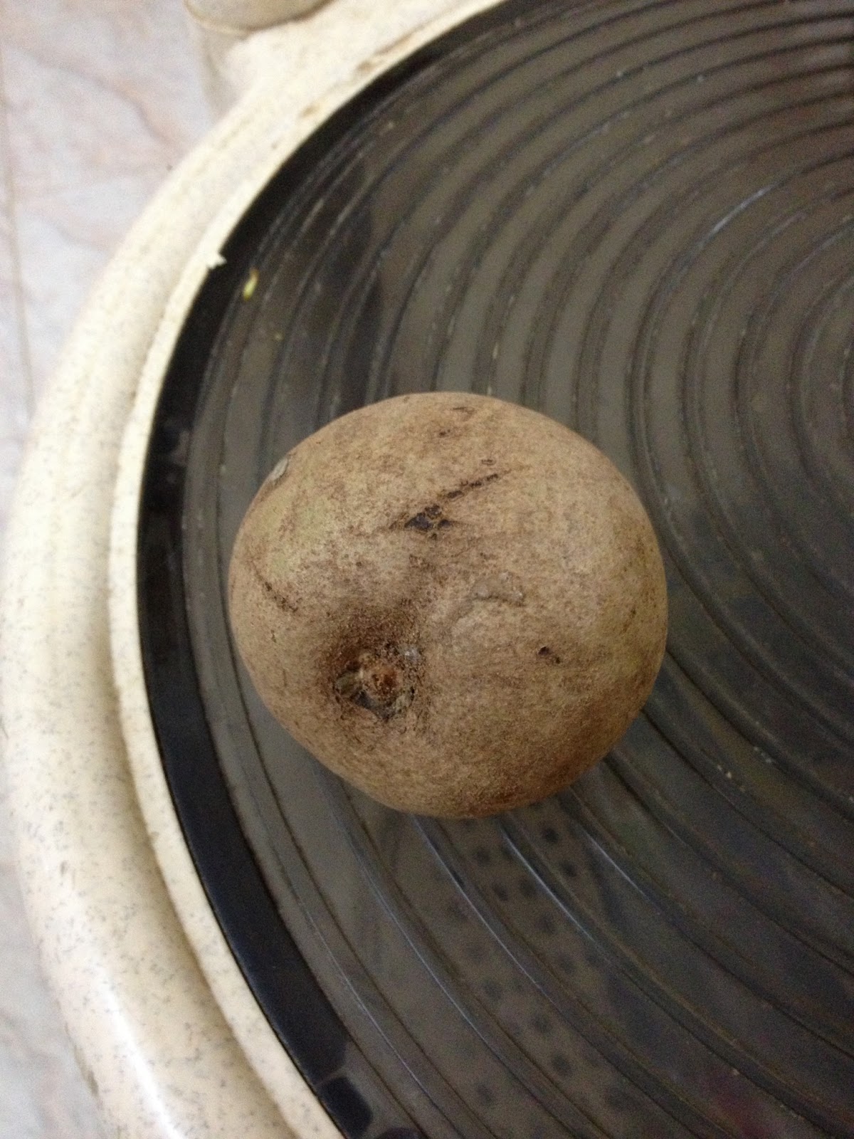 Inverted Coconut: Exotic Fruits