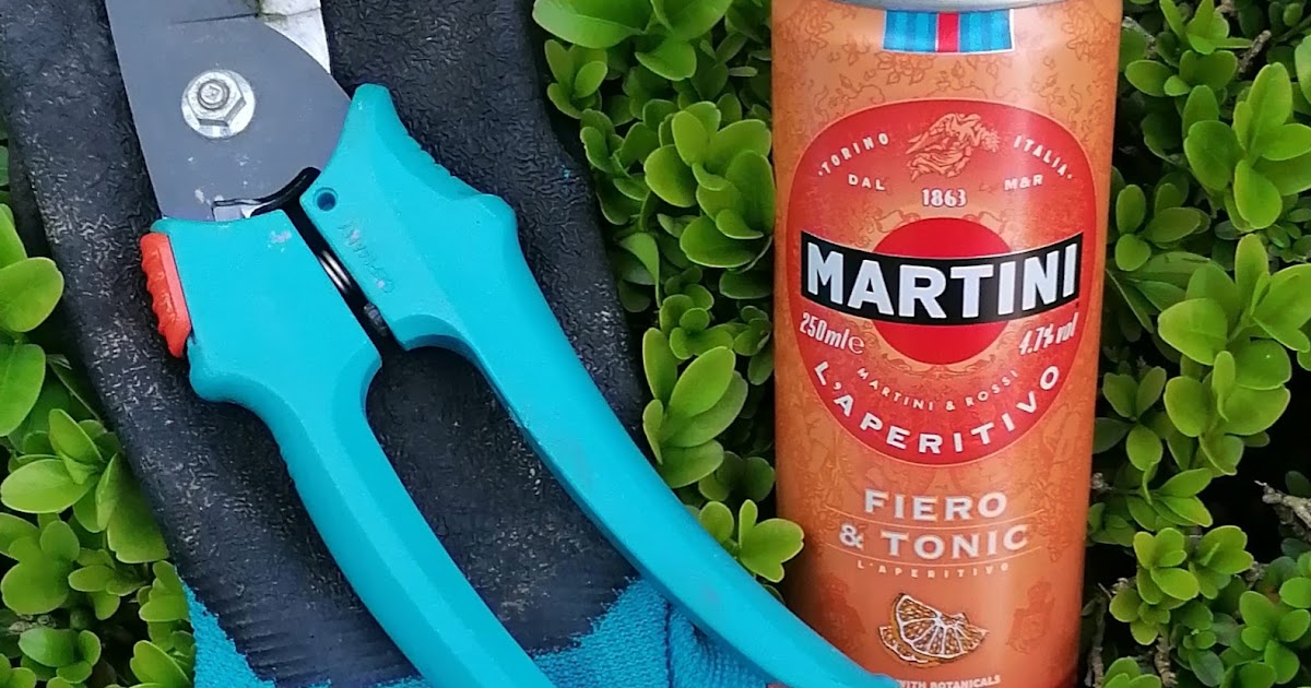 Ein kleiner Blog: MARTINI® FIERO & TONIC [Produkttest, Werbung]