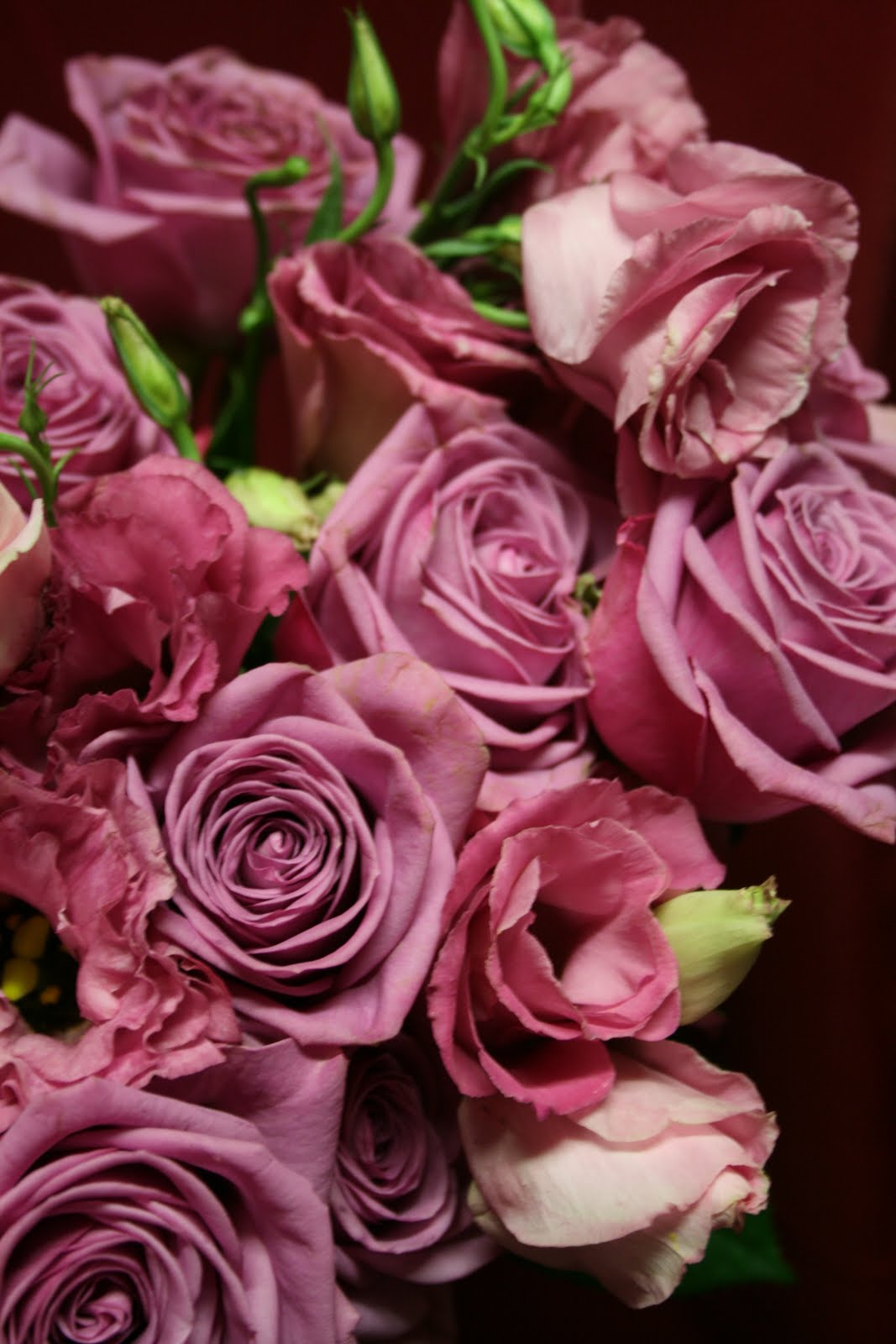 Hocus Pocus Flowers