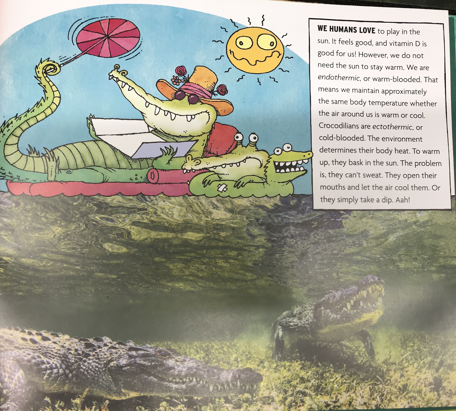 Libres Books: Just Like Us! Crocs, written by Bridget Heos, reviewed by ...