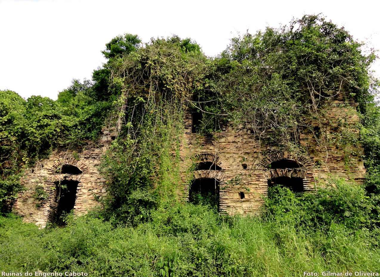 Engenhos: Caboto, Matoim, São João e Pindobas | Candeias Bahia