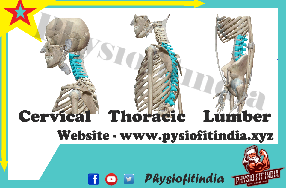 Orthopaedic MCQ in cervical,thoracic,lumber spine conditions #16 MPT ...
