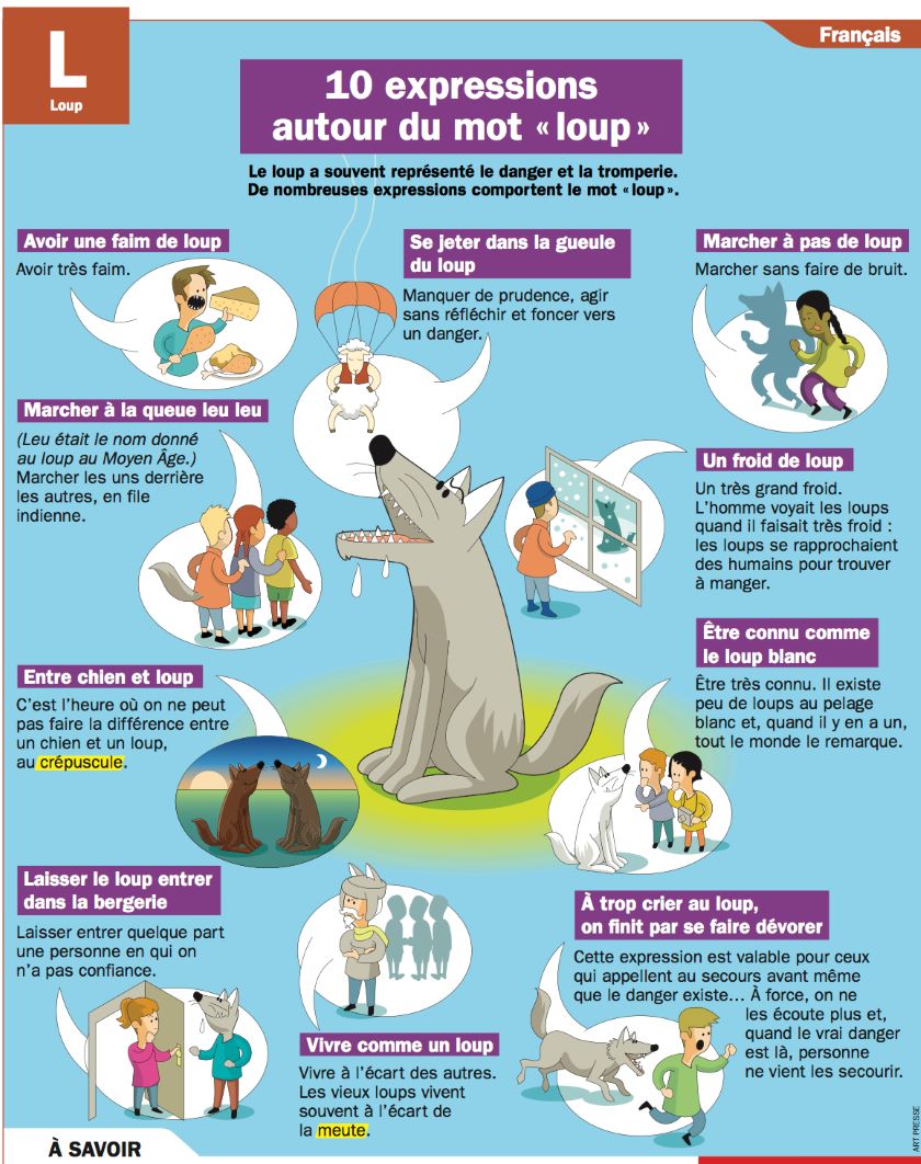TICs en FLE: Expressions françaises illustrées