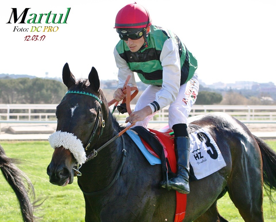 Martul C.B.: Vence y convence WILD KING, MARTUL 4º y verde GONTZUL...