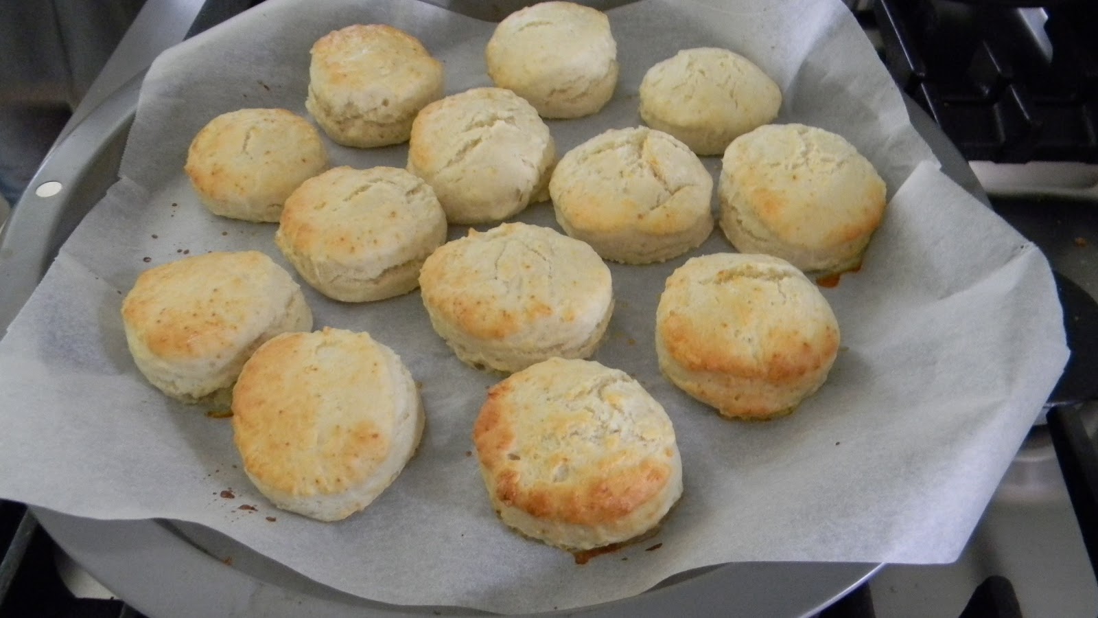 BAKING TRAY ~\________/~: Scones!!! - perfect for high tea =D
