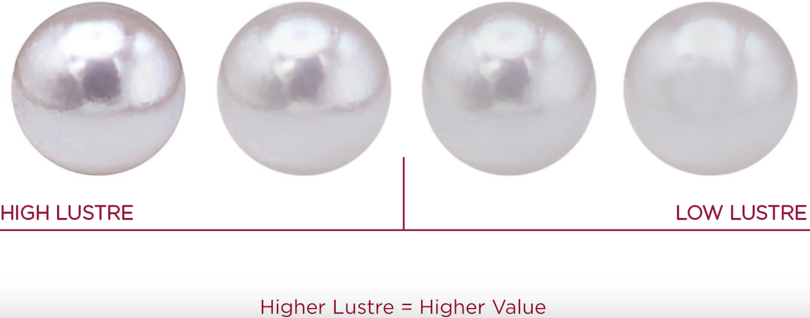 THE SAVVY SHOPPER: Pearls: Queen Of Gems