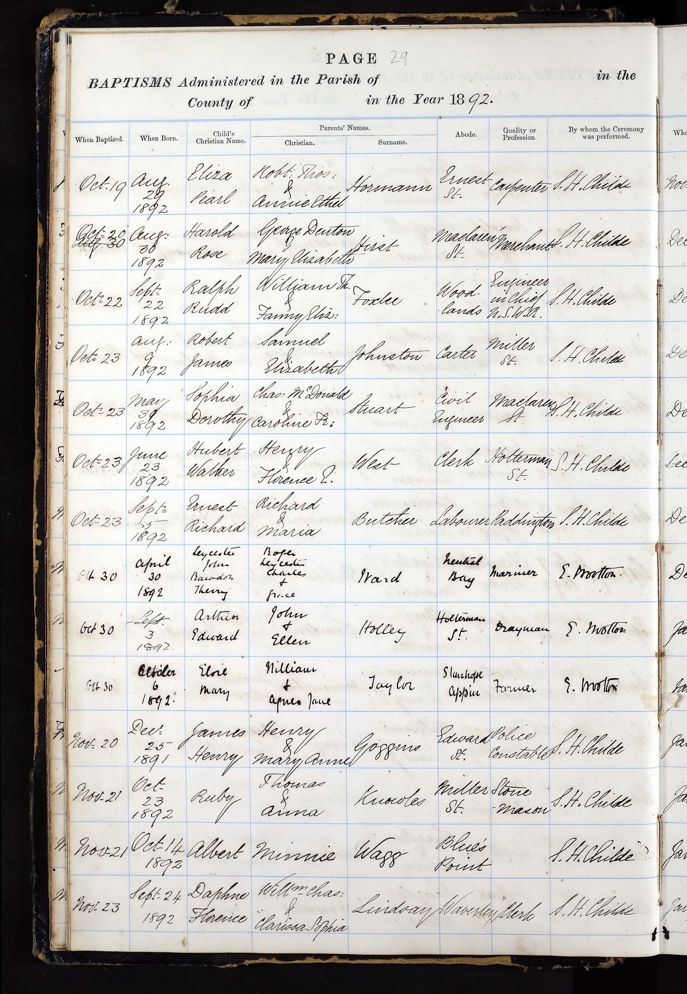 Minnie Daisy Webb-Wagg (1875 to 1911) - The eleventh and last child of ...