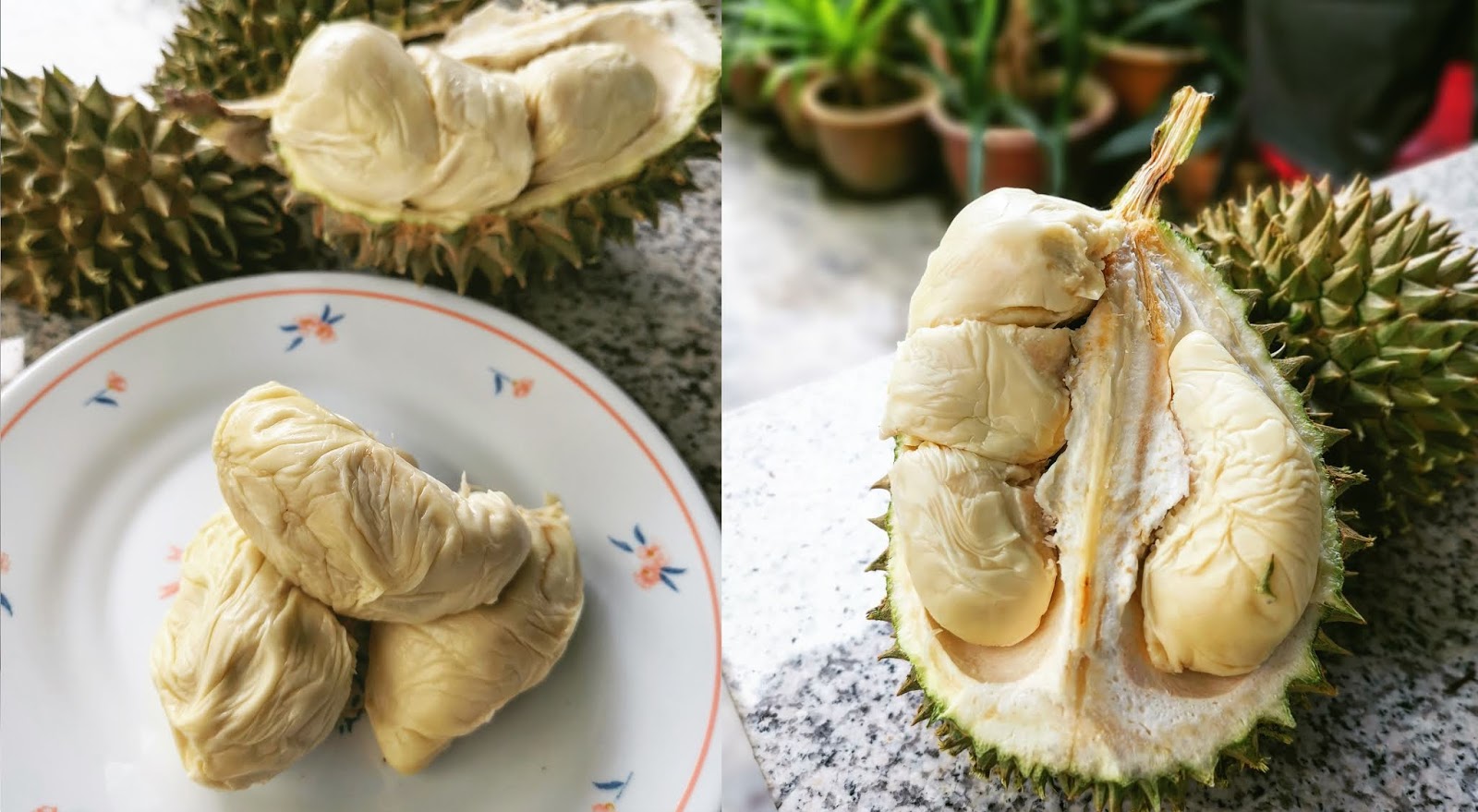Berkeley Durian 夢中情人 @ Berkeley, Klang