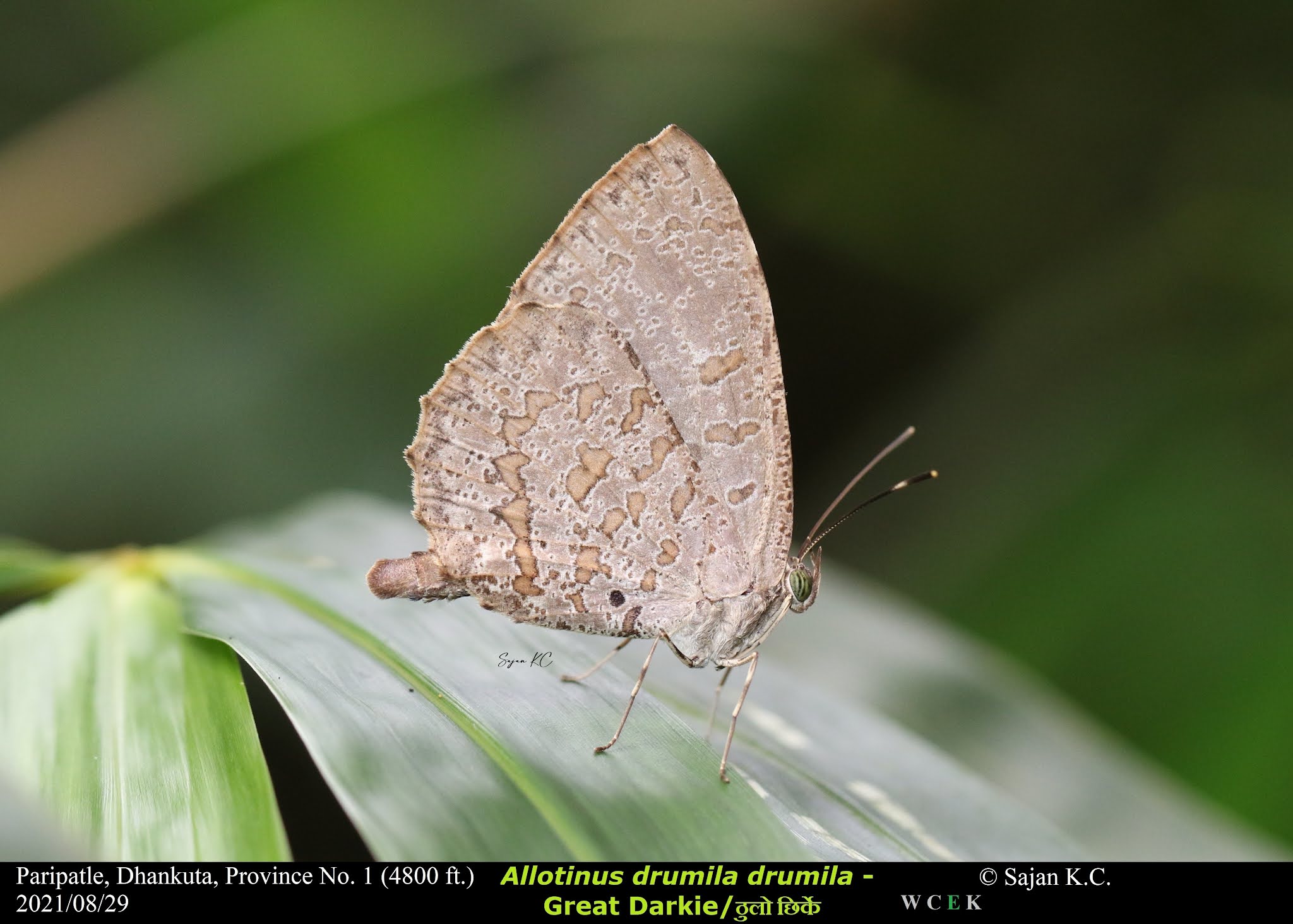An afternoon at Grulla National Wildlife Refuge